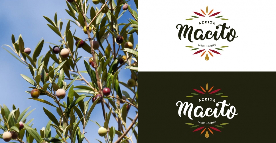 Sensorial - Creative Brands | Design, Net, Viz, Fotografia | Macito